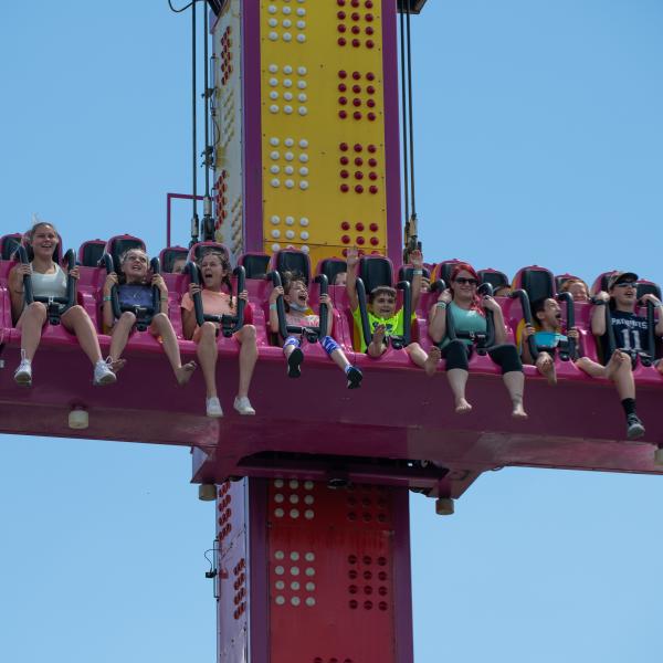 Falcon Fall | Columbus Zoo and Aquarium
